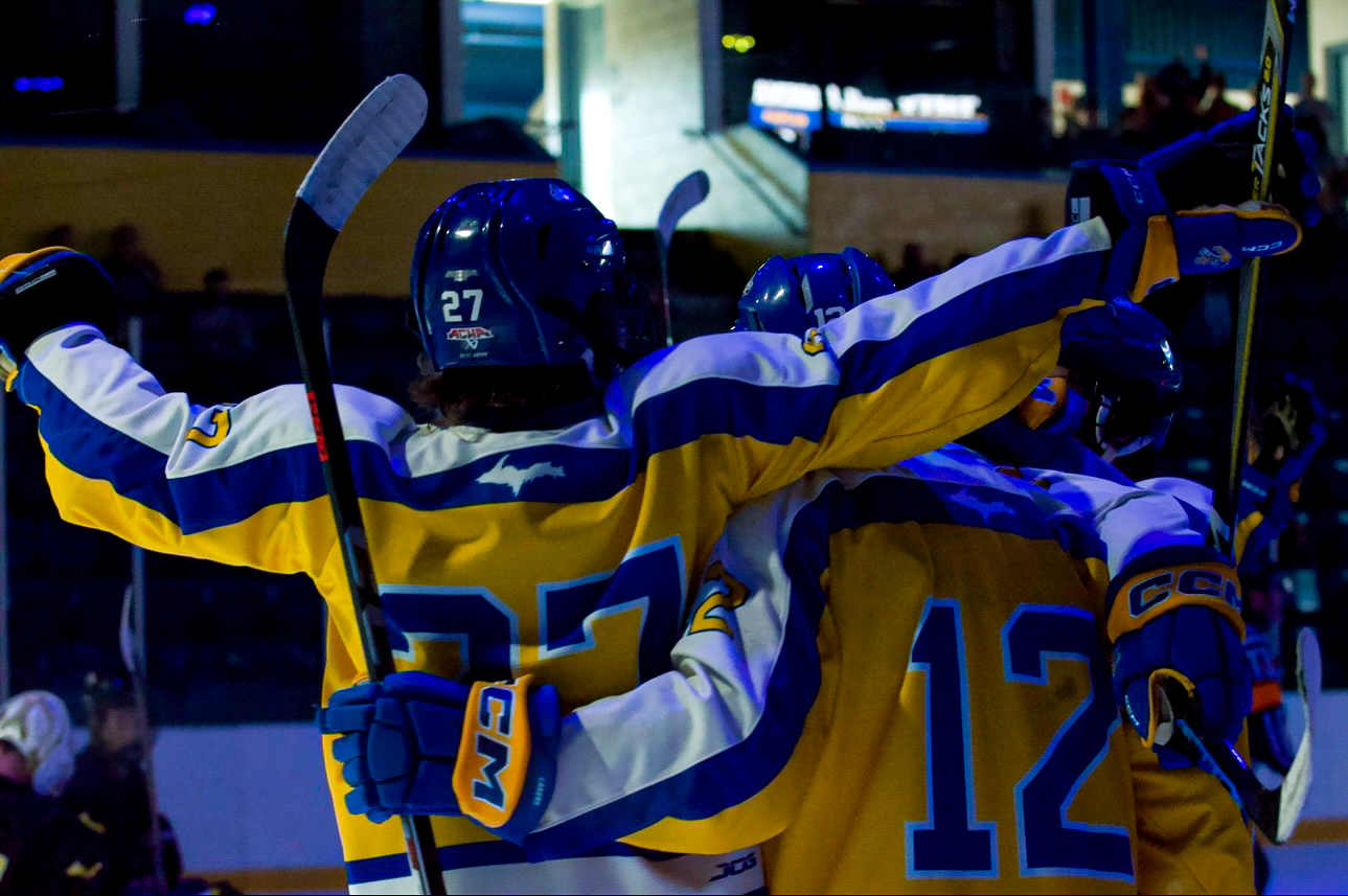 ACHA Men's Hockey: Lake State Sweeps NMU - Lake Superior State University