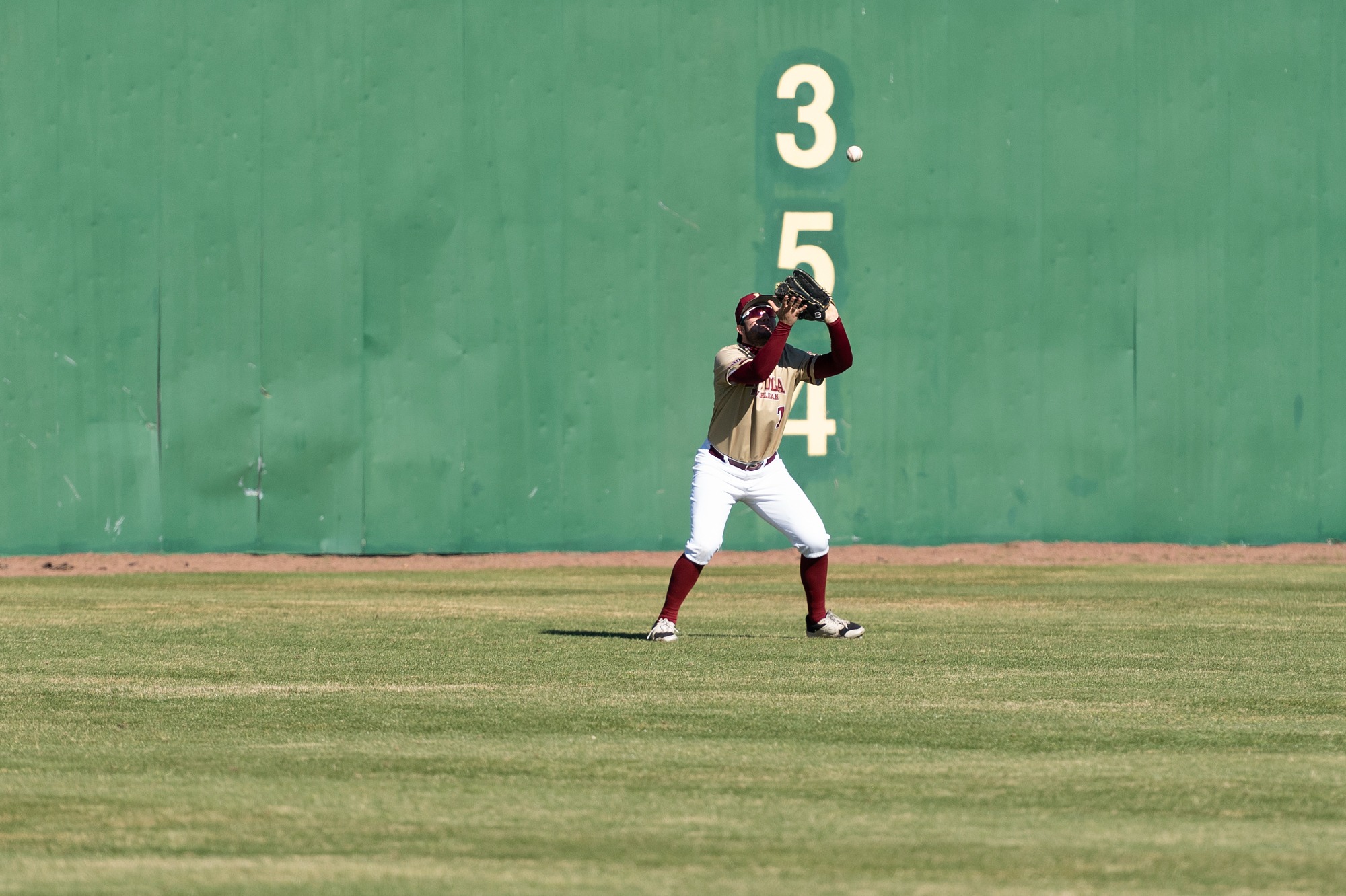 Tucker Ganley - 2024 - Baseball - Loyola University New Orleans