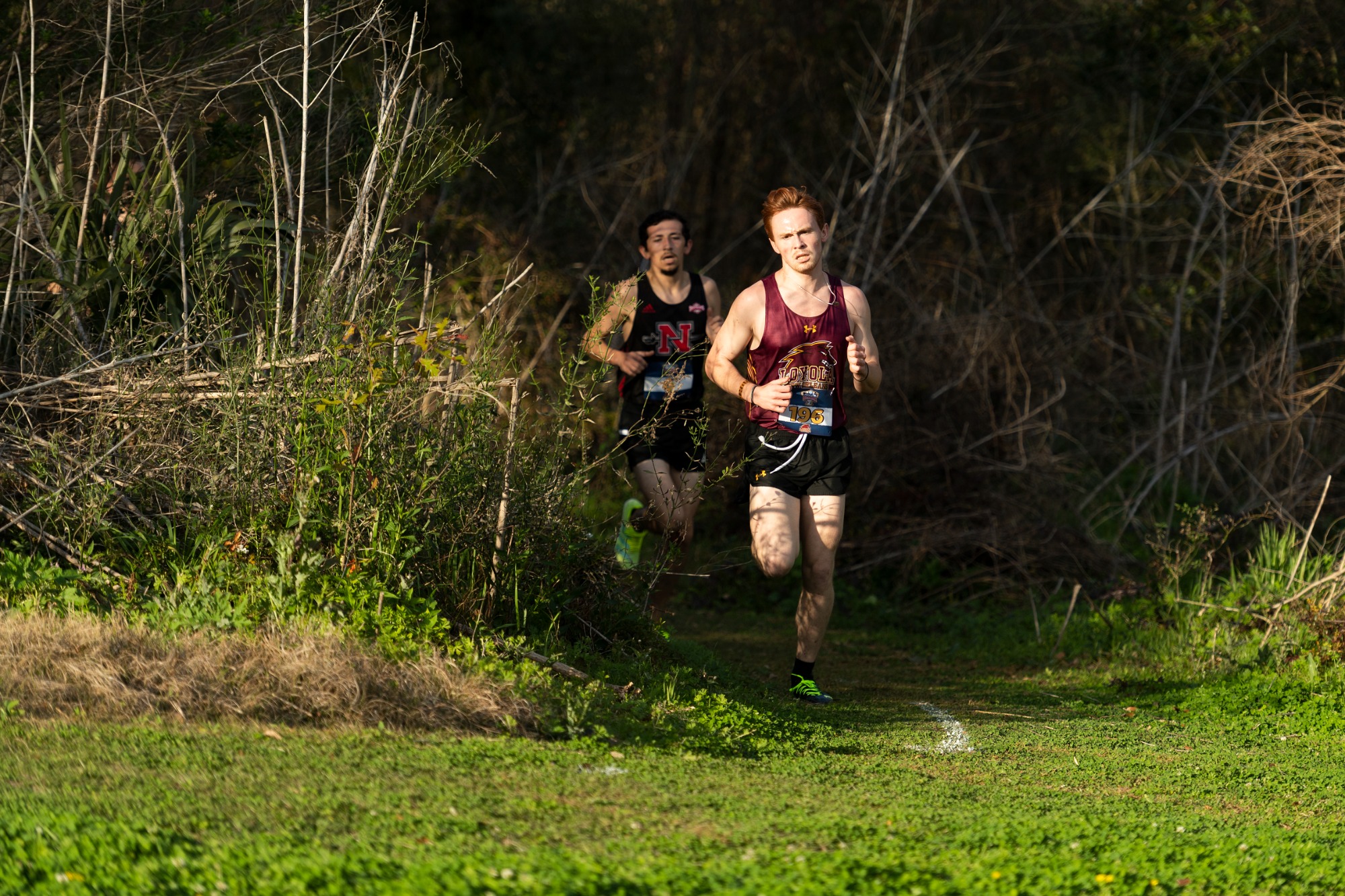 Peter Nelson-Broderick - 2023 - Men's Cross Country - Loyola University ...
