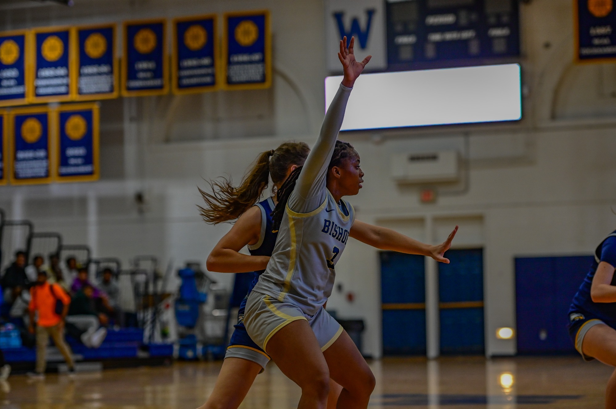 Johnay Goddard - 2023-24 - Women's Basketball - North Carolina Wesleyan ...