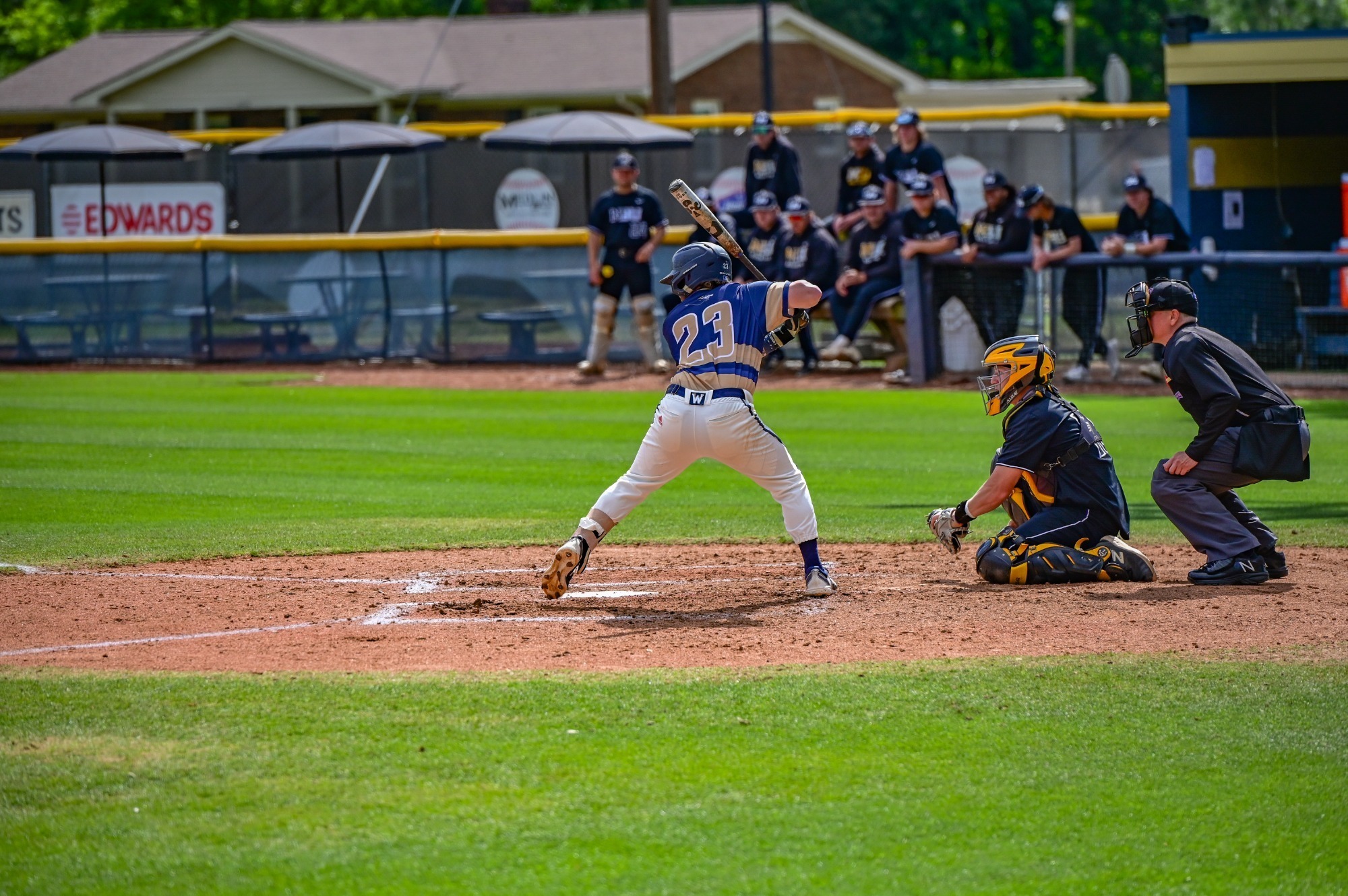 Davie Morgan Named First-Team All-American by ABCA - North Carolina ...