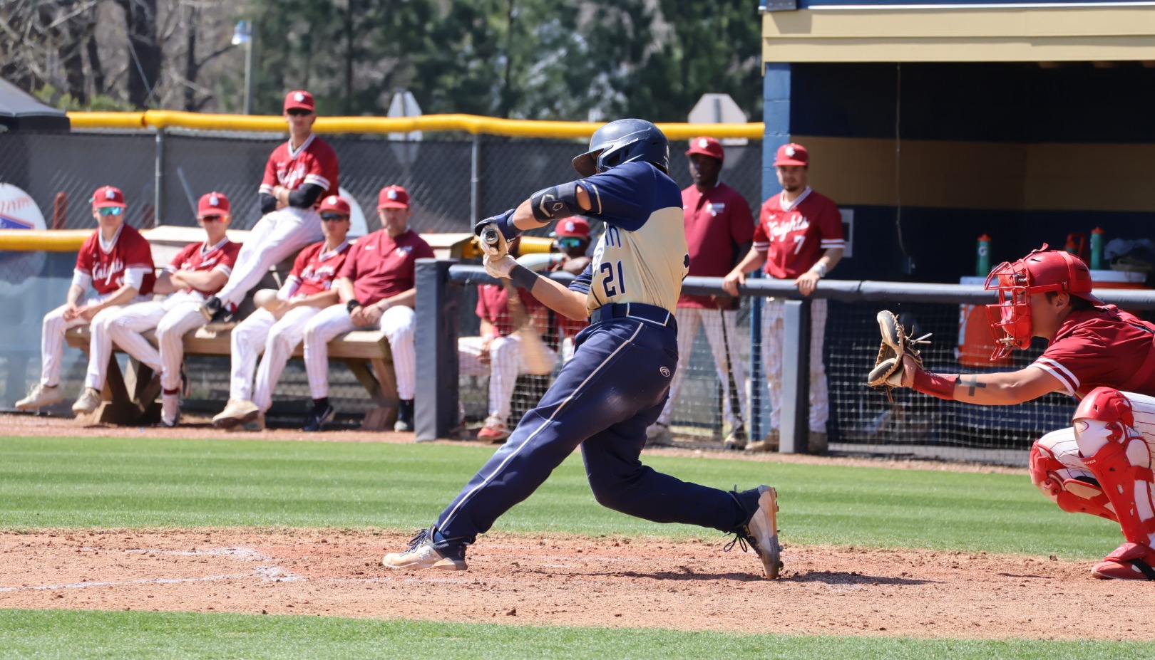 Baseball Releases 2025 Schedule Following Historic Season - North ...