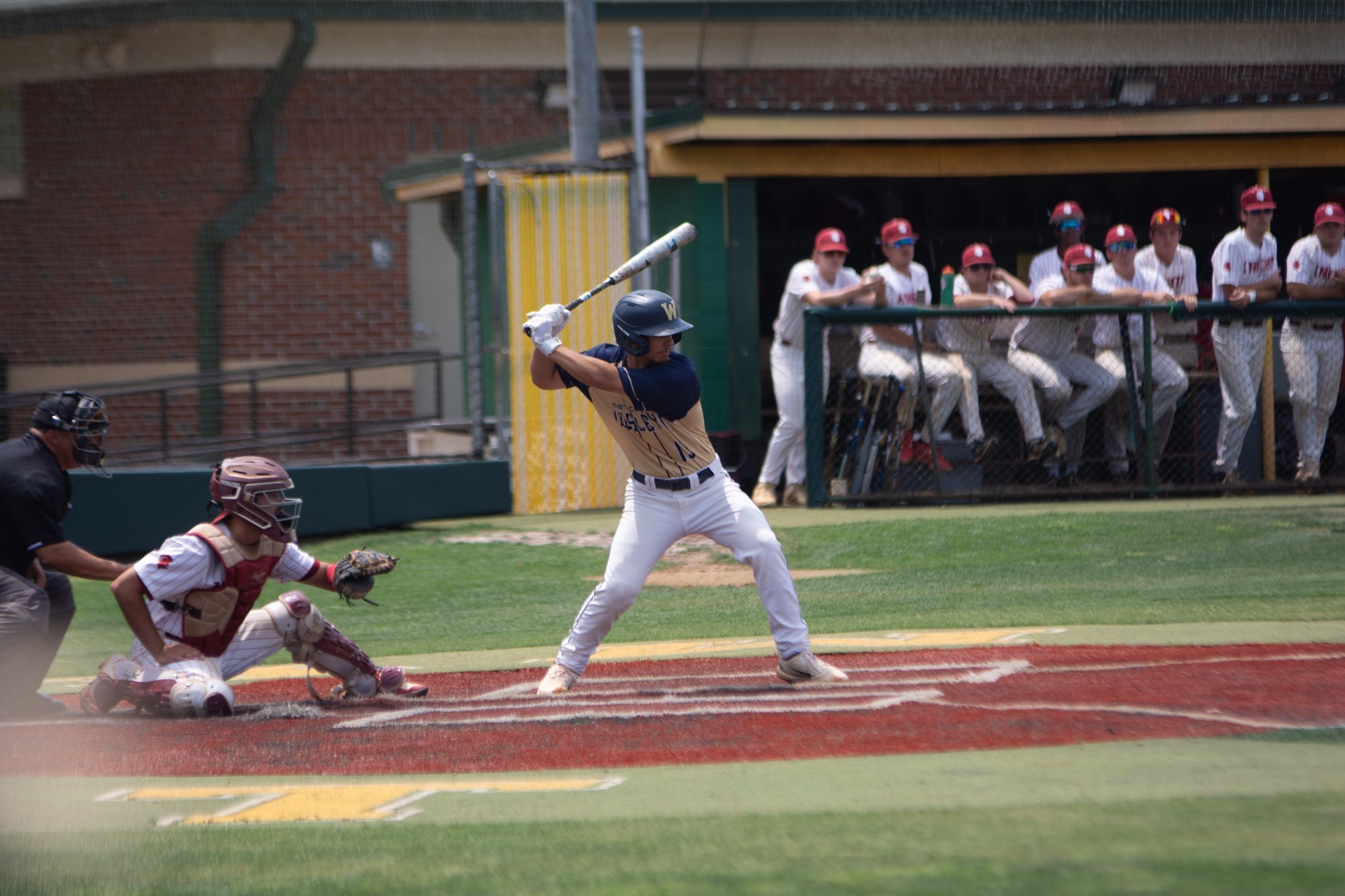 Baseball Releases 2025 Schedule Following Historic Season - North ...