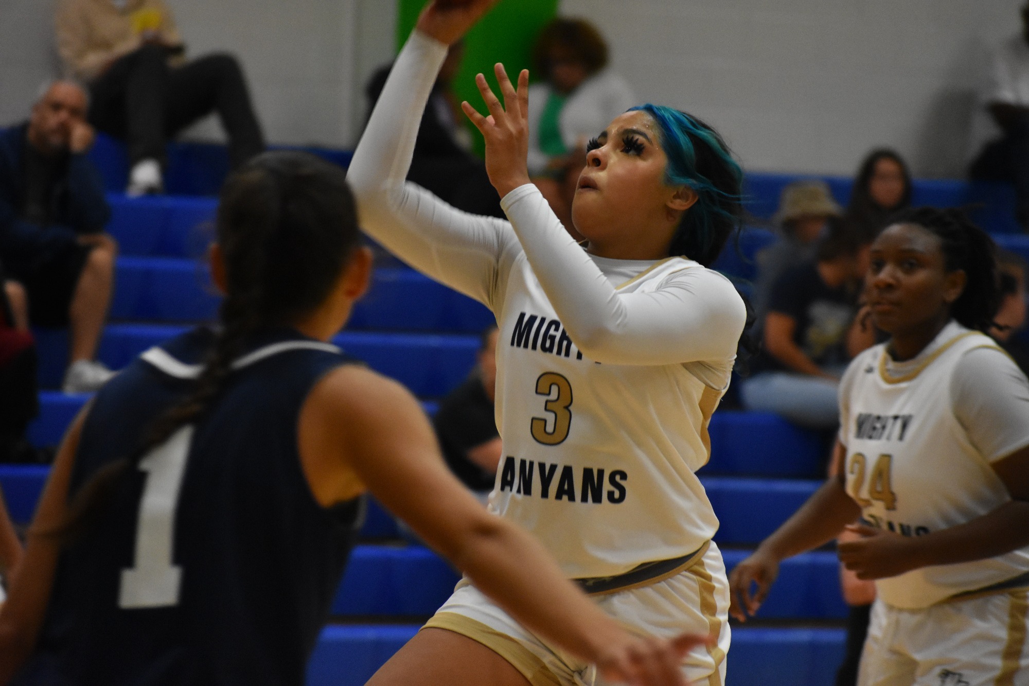 NCF WOMENS BASKETBALL DROPS FIRST HOME GAME OF 2024 - New College of ...