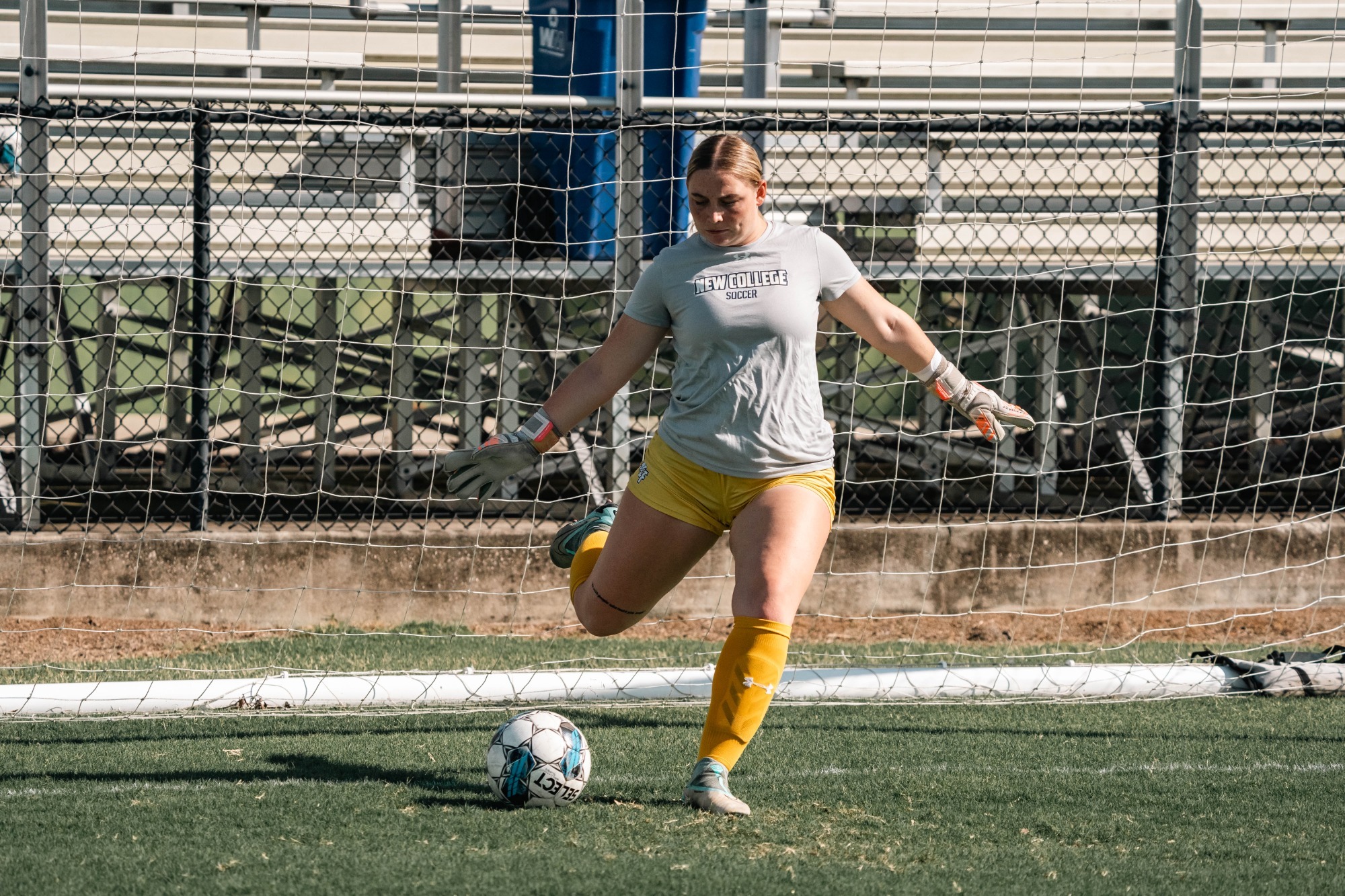 NEW COLLEGE OF FLORIDA ANNOUNCES SERGE LIPOVETSKY AS HEAD WOMEN'S ...