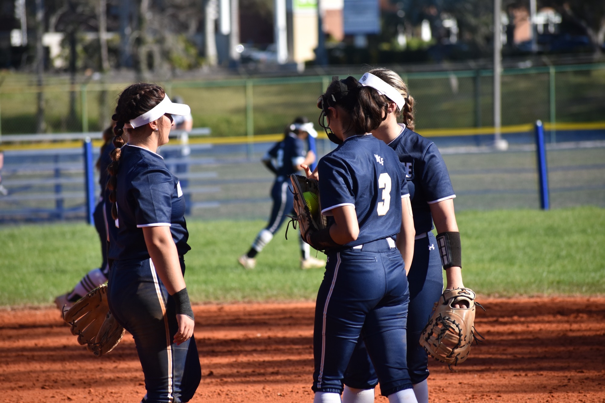 MIGHTY BANYANS SOFTBALL BRINGS THE ENERGY THIS FALL - New College of ...
