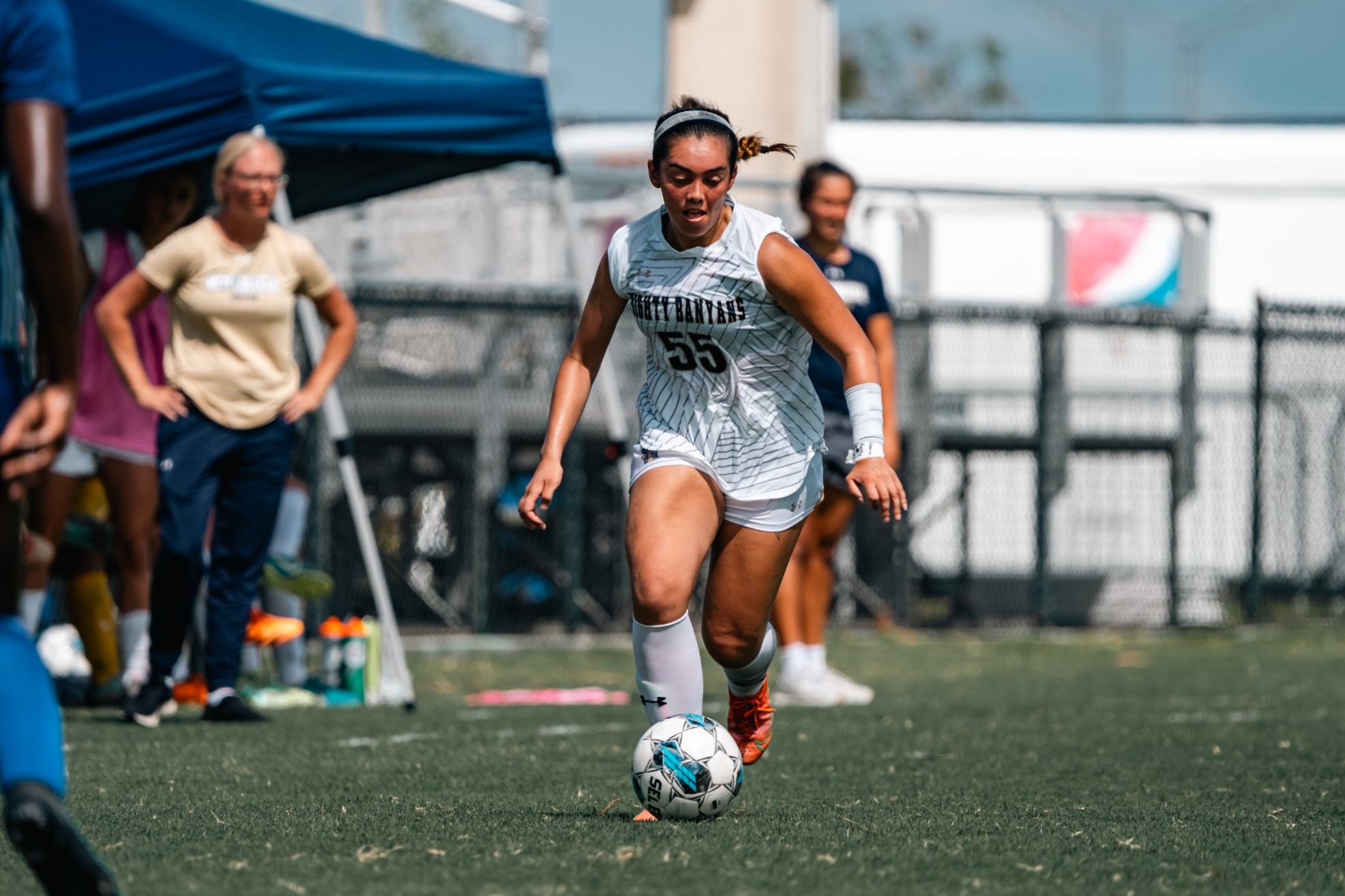 NEW COLLEGE OF FLORIDA ANNOUNCES SERGE LIPOVETSKY AS HEAD WOMEN'S ...