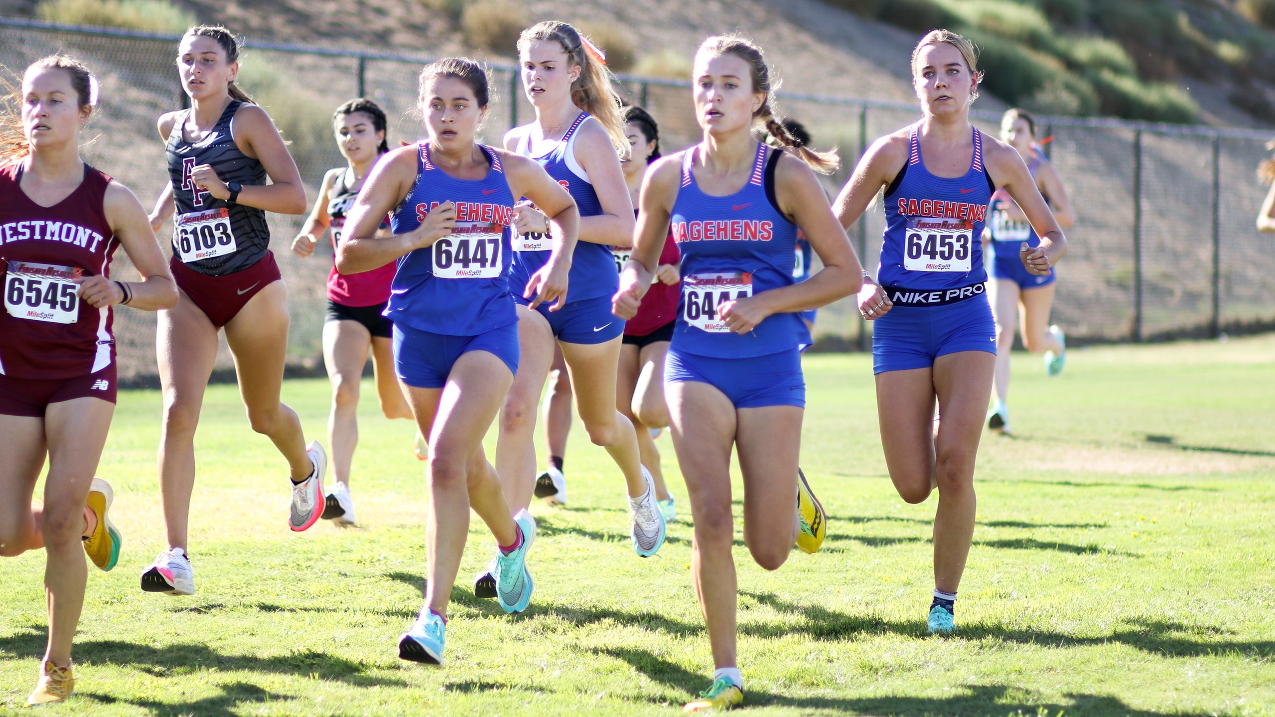 Pomona Pitzer Athletics