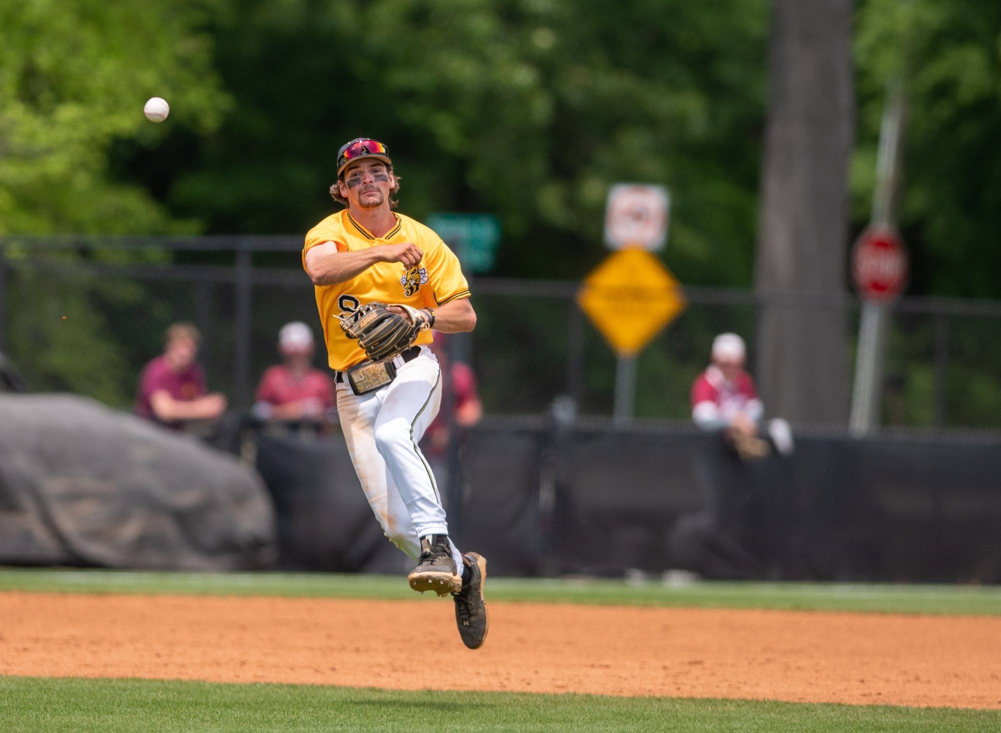 Grayson Bush - 2024 - Baseball - Randolph-Macon College