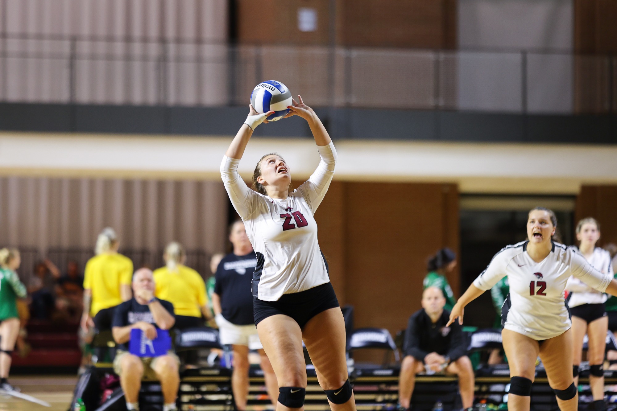 Maroons Split Matches on Day 1 of Cougar Classic - Roanoke College