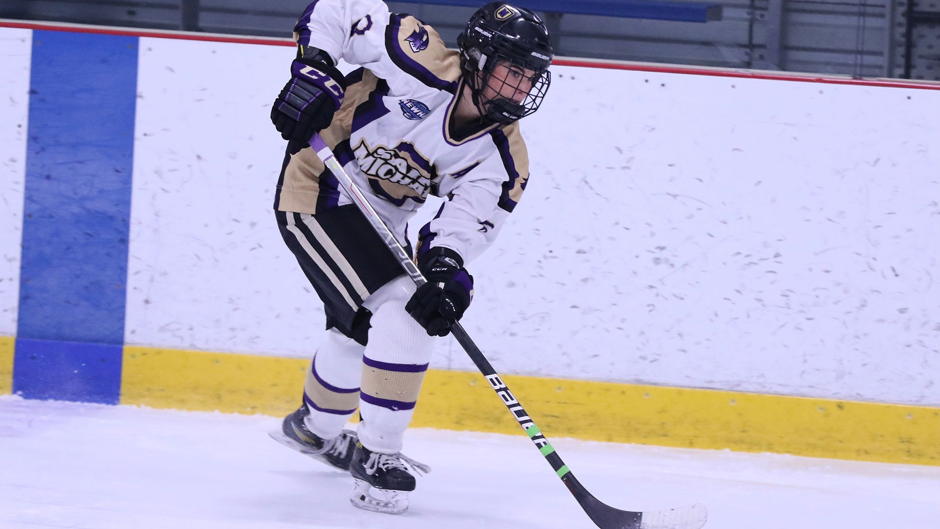 Mikaela Langbacka - 2023-24 - Women's Ice Hockey - Saint Michael's College