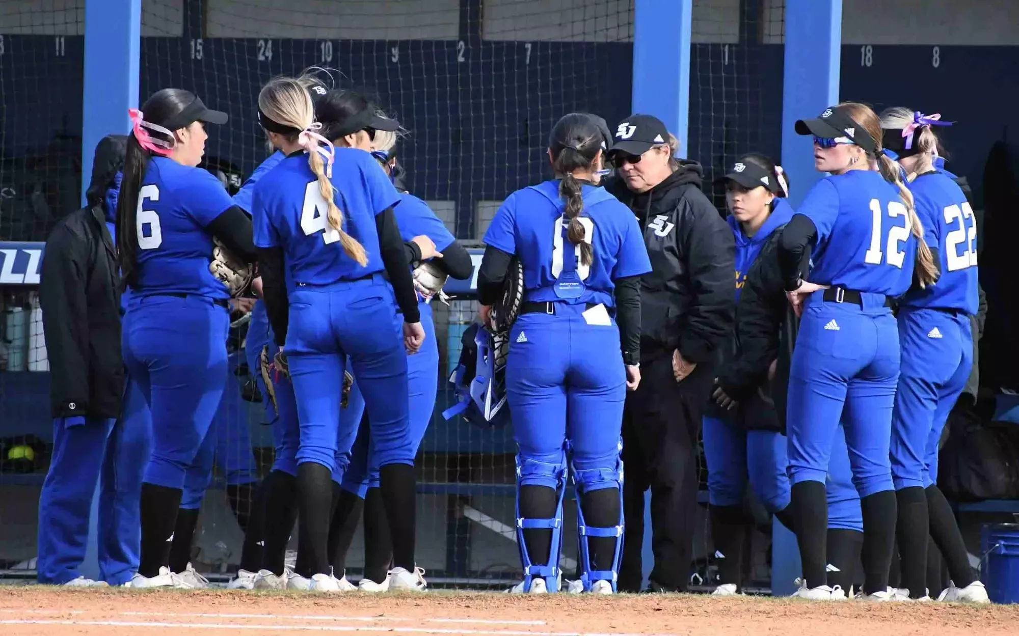 Ravens softball, baseball celebrate a year of growth and development - San Jacinto College