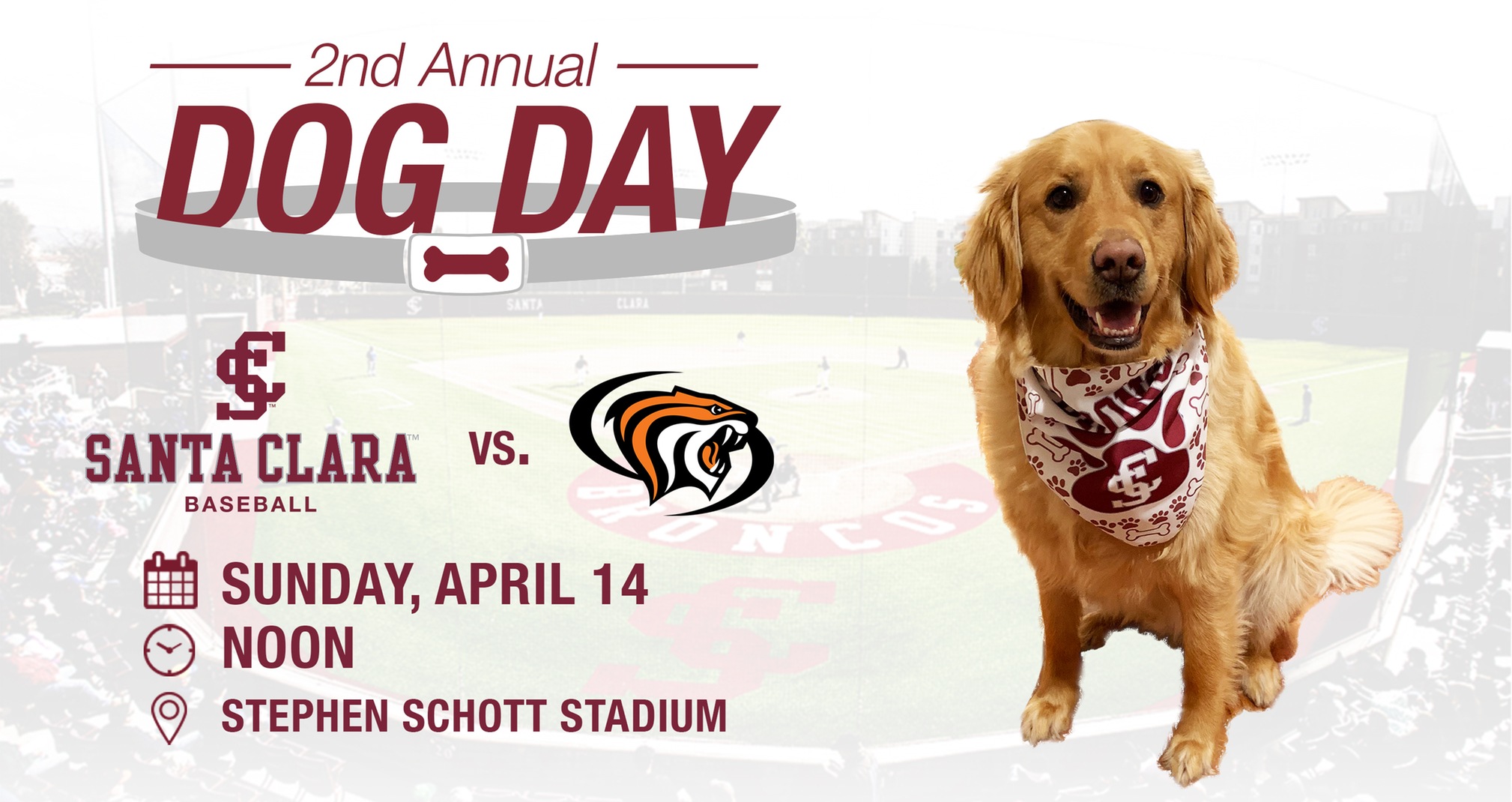 Second Annual Dog Day At Stephen Schott Stadium On Sunday, April 14 ...