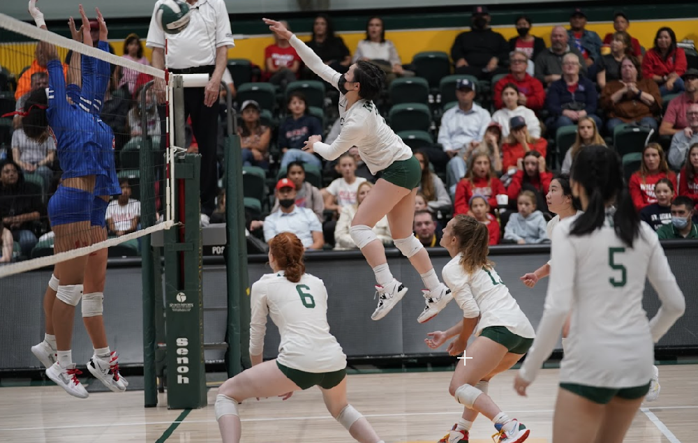 Irish Pride on Full Display as Volleyball is Defeated in the Bruce ...