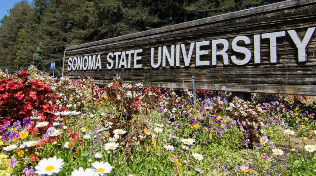Sonoma State Athletics Reveals Hall Of Fame Class Of 2017 - Sonoma ...