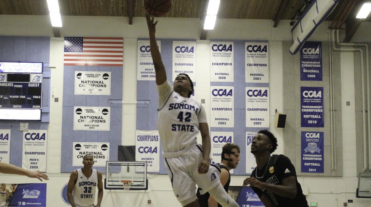 Aaron Porcil - 2018-19 - Men's Basketball - Sonoma State University ...