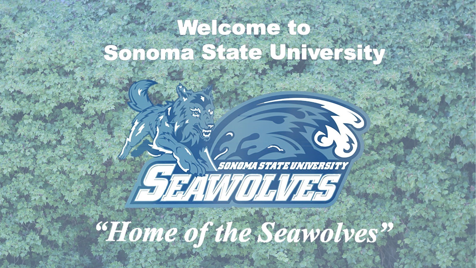 Max Bayer named Sonoma State University's Head Strength and ...