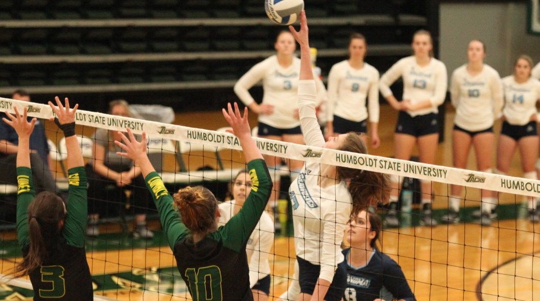 Seawolves Sweep the Jacks - Sonoma State University Athletics