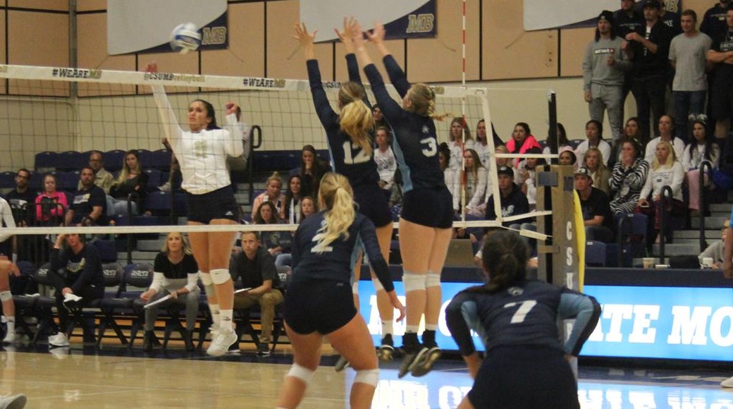 Adriana Baysinger - 2020 - Women's Volleyball - Sonoma State University ...