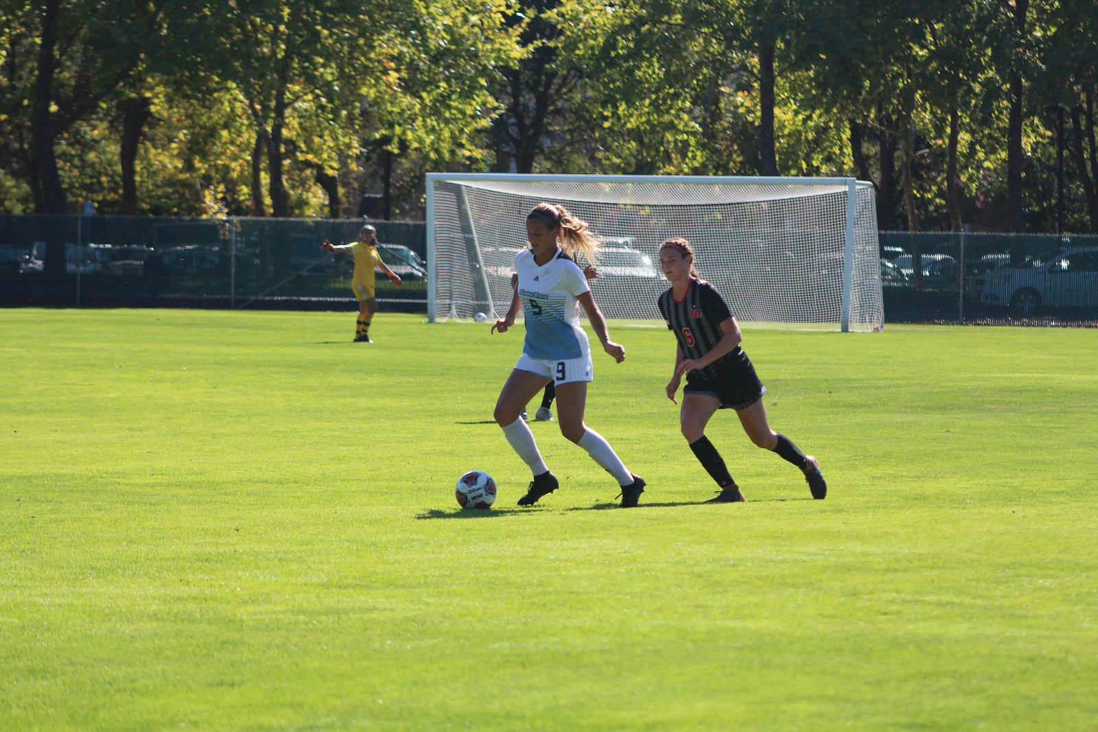 Seawolves Continue The Winning Streak - Sonoma State University Athletics