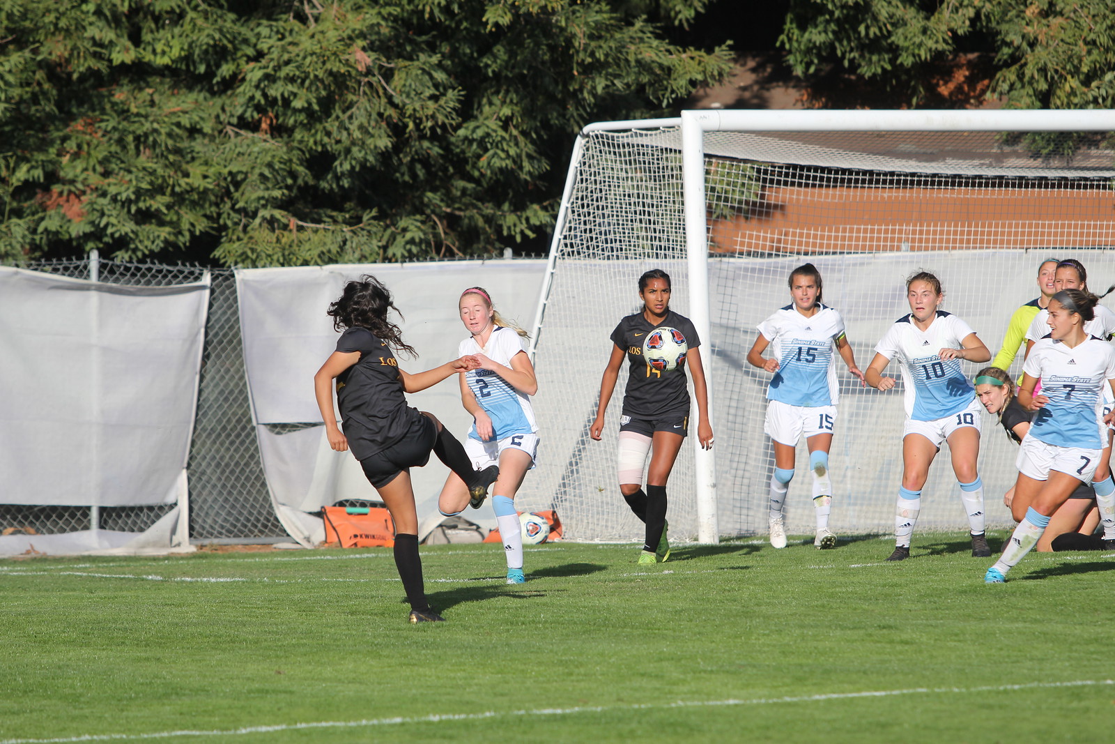 Late LA Goal ends Seawolves Season - Sonoma State University Athletics
