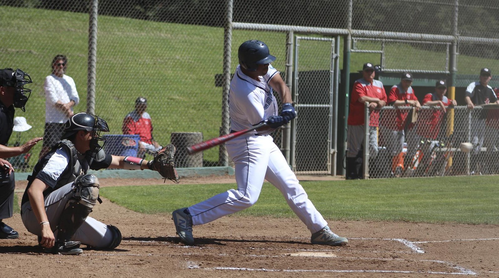 Seawolves Drop Two to Wildcats - Sonoma State University Athletics