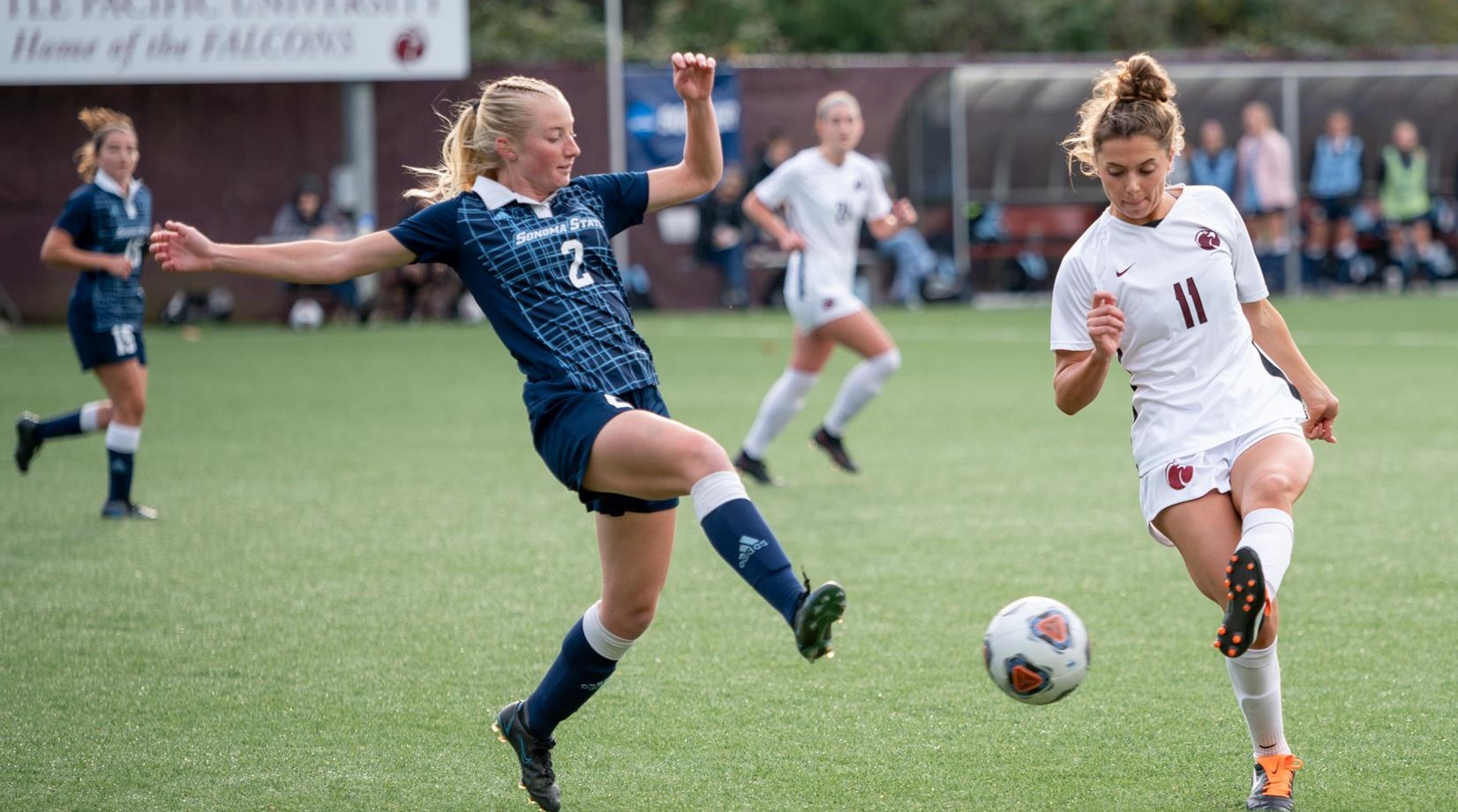 Alyssa Silva - 2021 - Women's Soccer - Sonoma State University Athletics