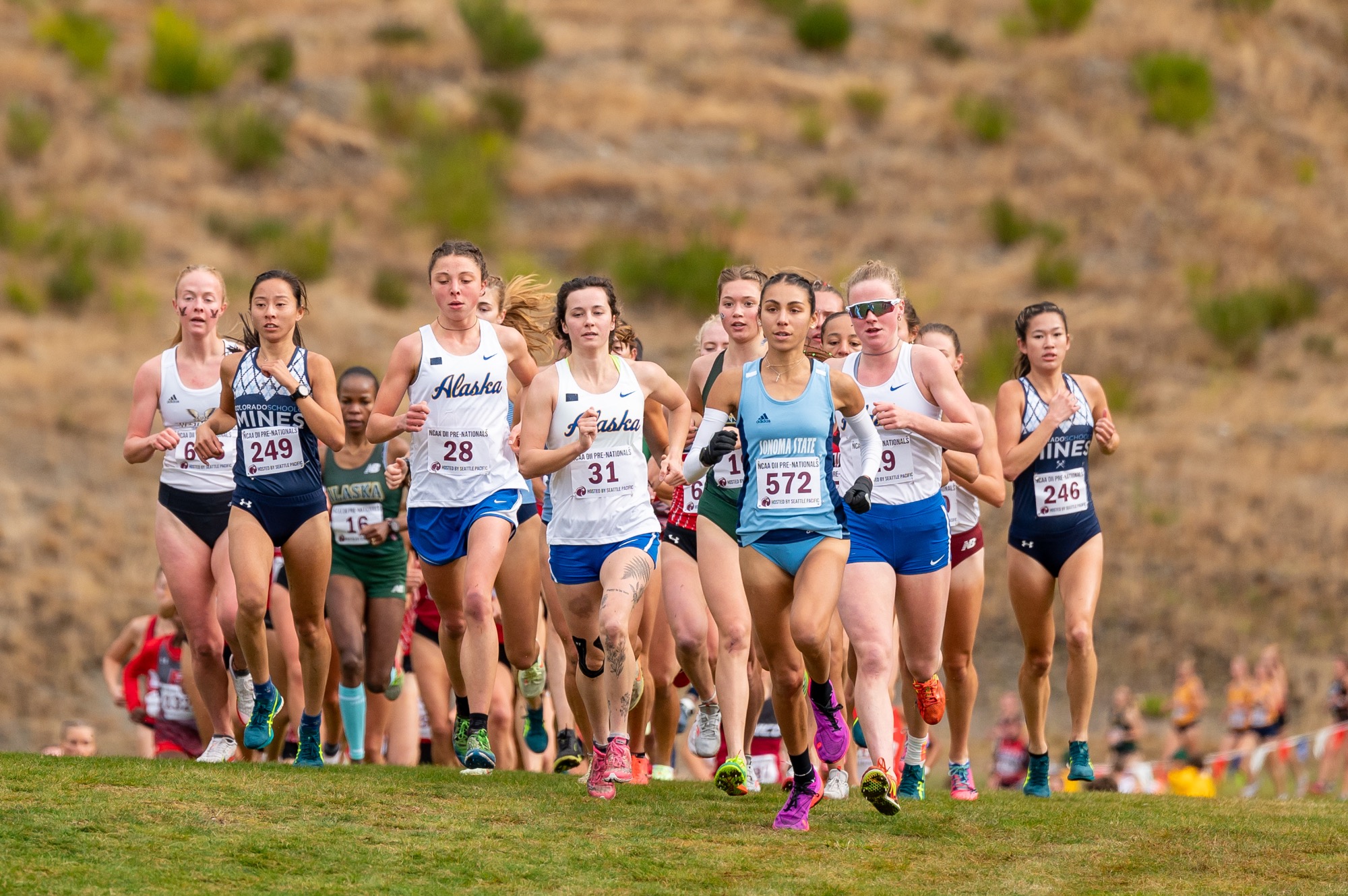 Gianna Bomarito - 2023 - Women's Cross Country - Sonoma State University Athletics