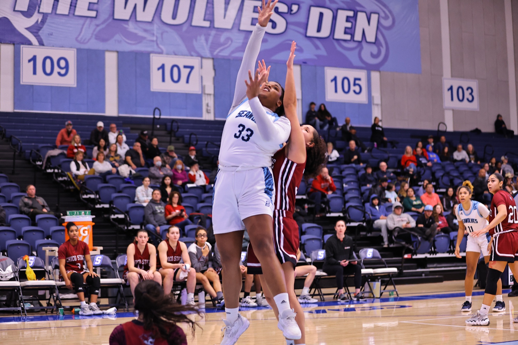 Amanda Luckett - 2022-23 - Women's Basketball - Sonoma State University ...