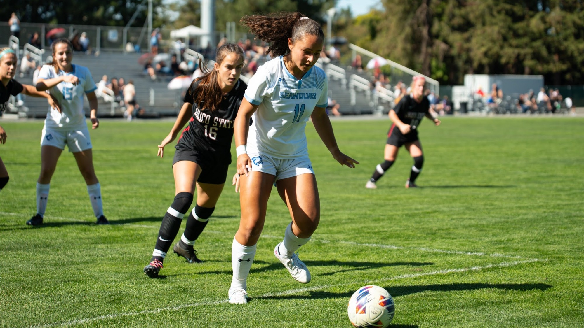 WSOC: Seawolves Battle to Draw with Cal State San Marcos 1-1 - Sonoma ...