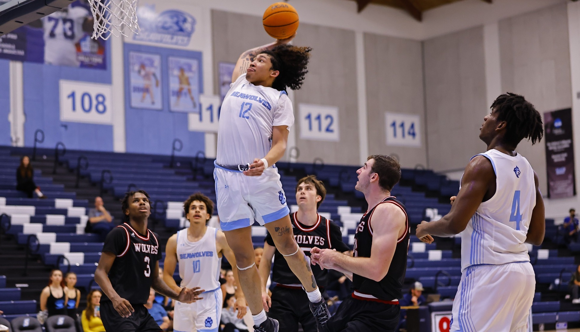 Andrew Henderson - 2023-24 - Men's Basketball - Sonoma State University ...