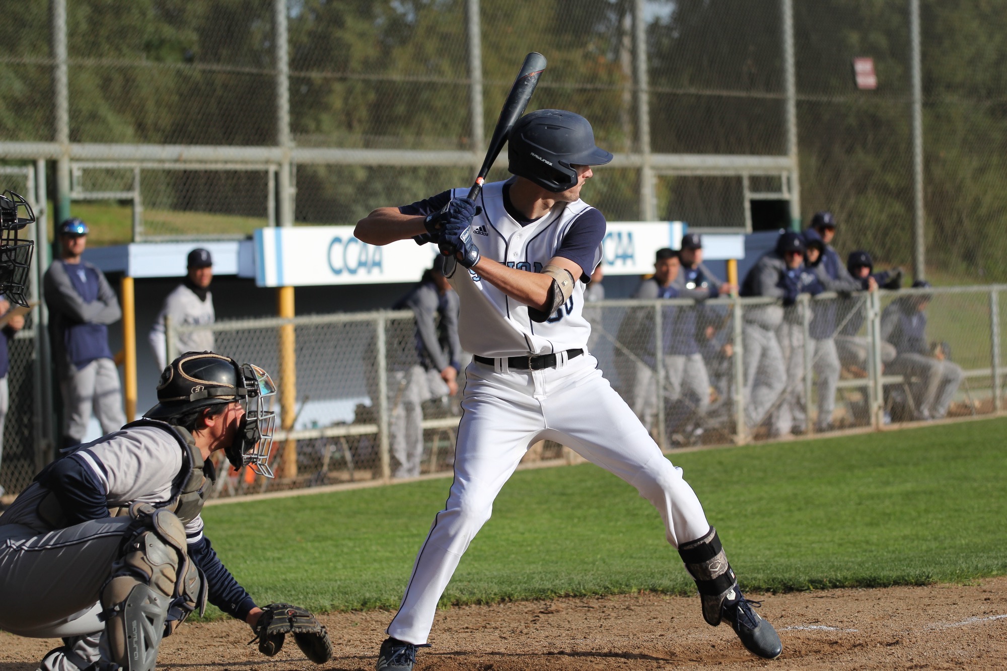 Ryan Wilmoth - 2023 - Baseball - Sonoma State University Athletics
