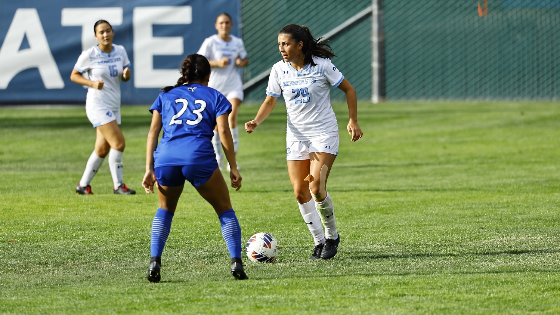 Luna Chavez - 2024 - Women's Soccer - Sonoma State University Athletics
