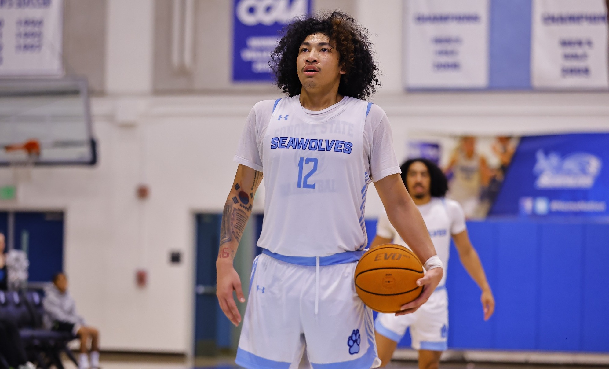 MBB: Gators Storm Past Seawolves with Big Second Half - Sonoma State ...