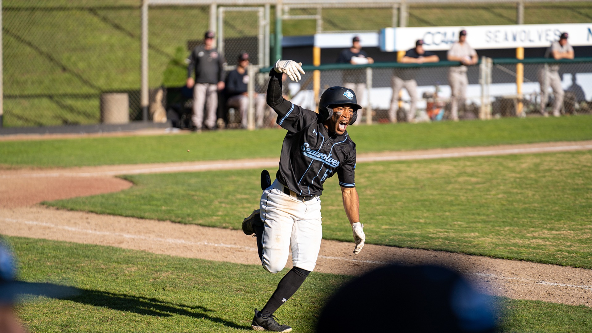 Merz’s Big Day at the Plate Leads Seawolves to Win Over CSSM - Sonoma ...