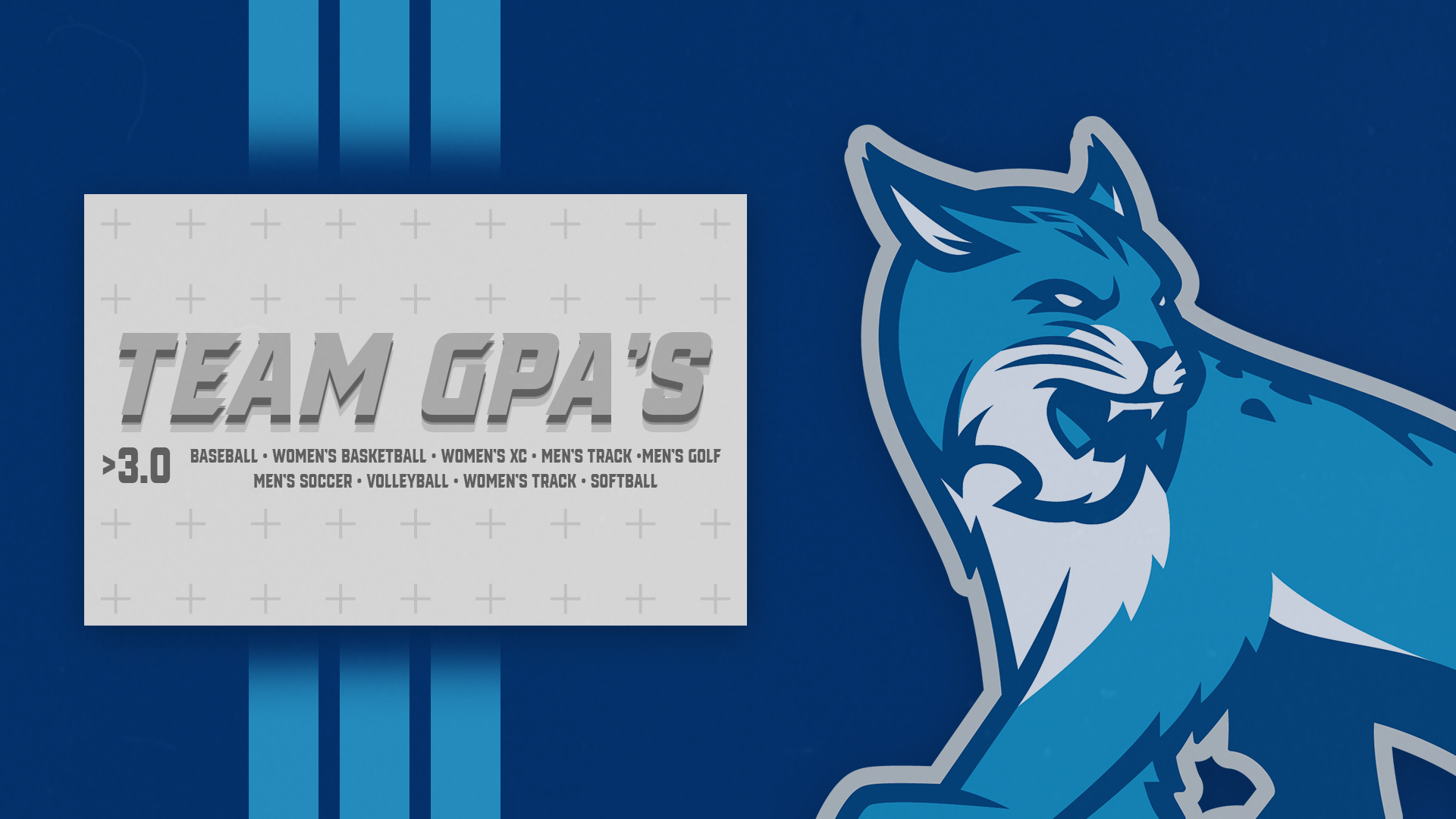 SCC Bobcats Preparing For The 2023-24 School Year! - Southeast ...