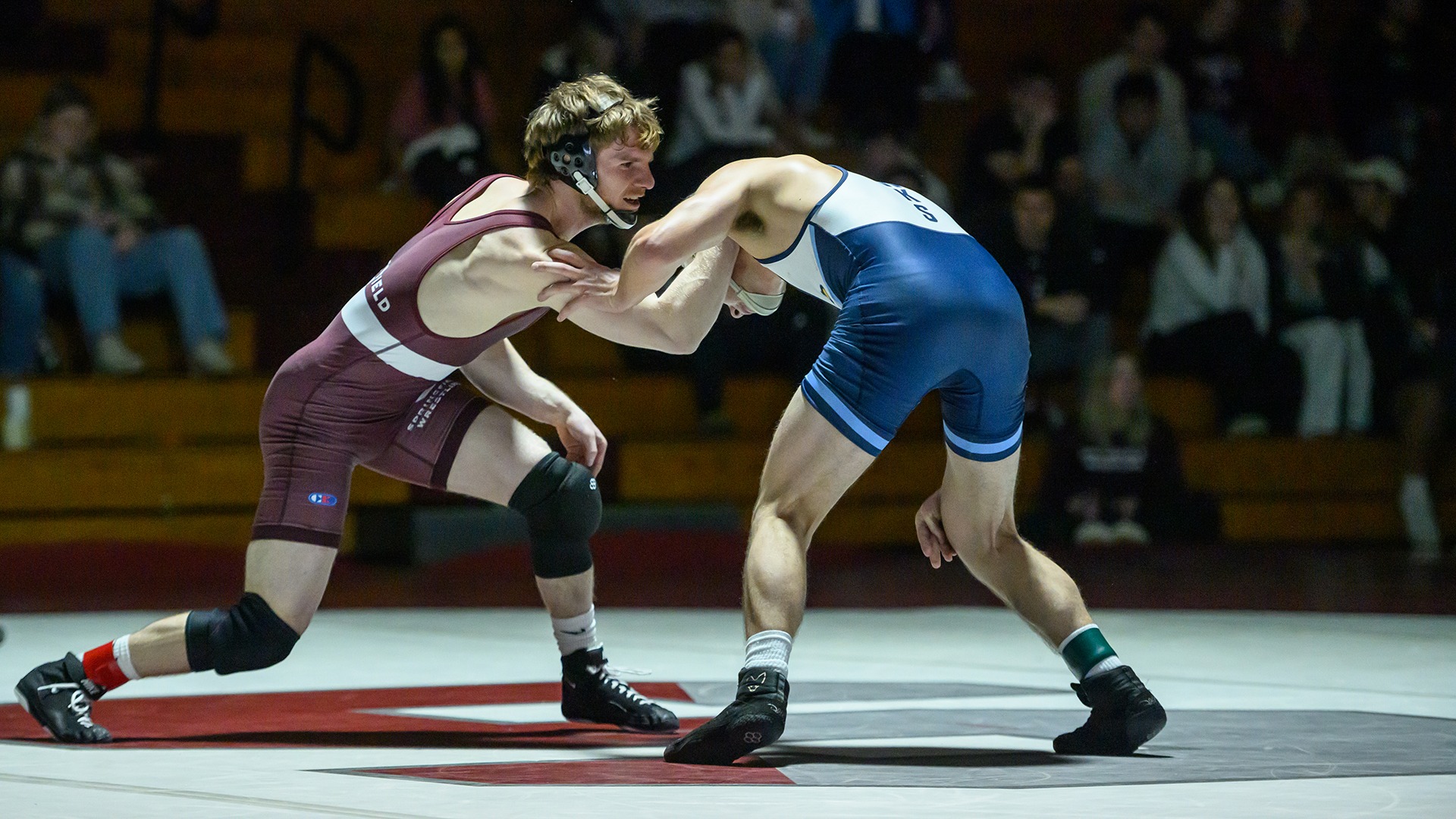Gianni Manginelli - 2023-24 - Wrestling - Springfield College
