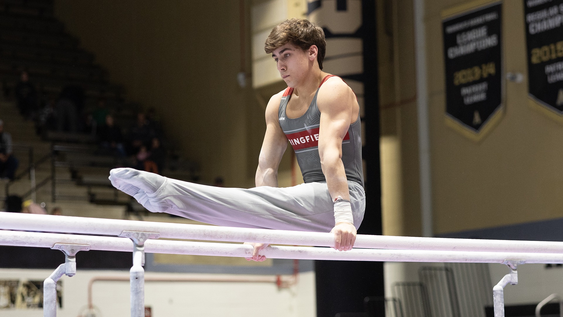 Sam Kaplan - 2024 - Men's Gymnastics - Springfield College