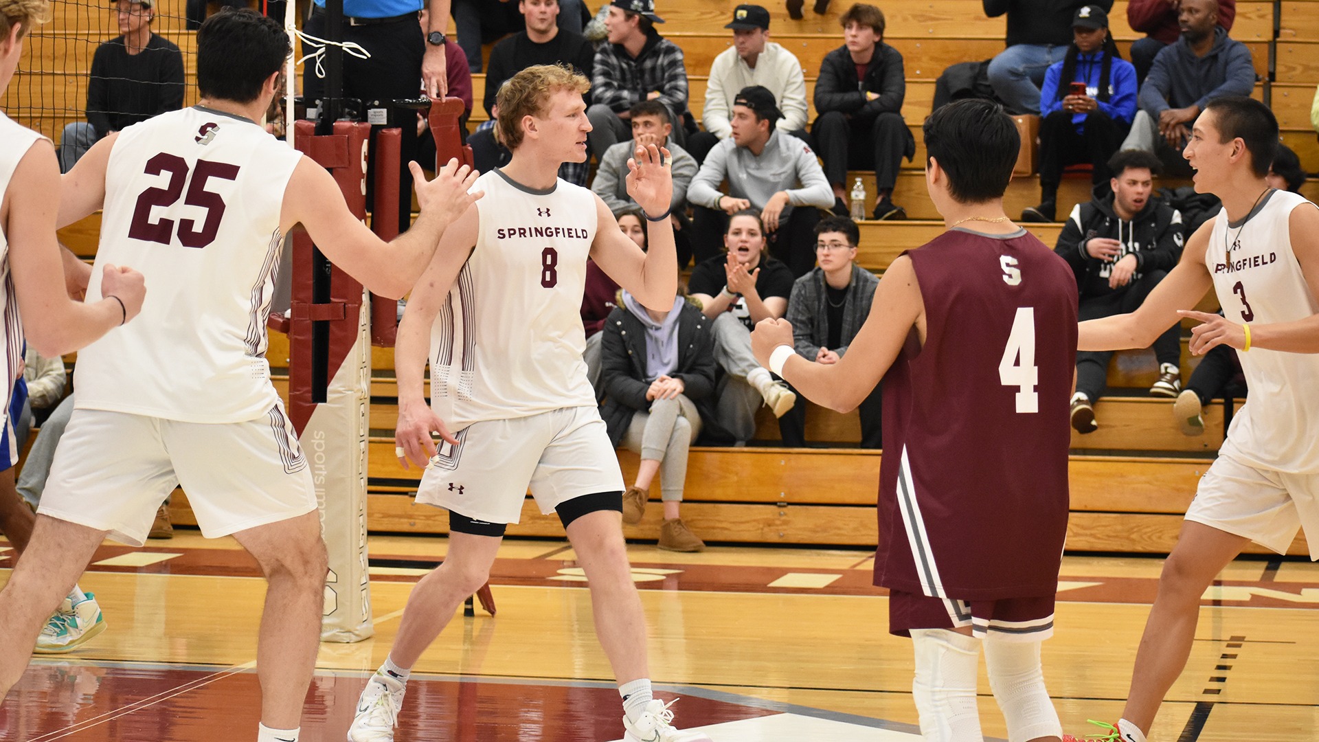 No. 7 Men's Volleyball Sweeps St. Joseph's - Springfield College