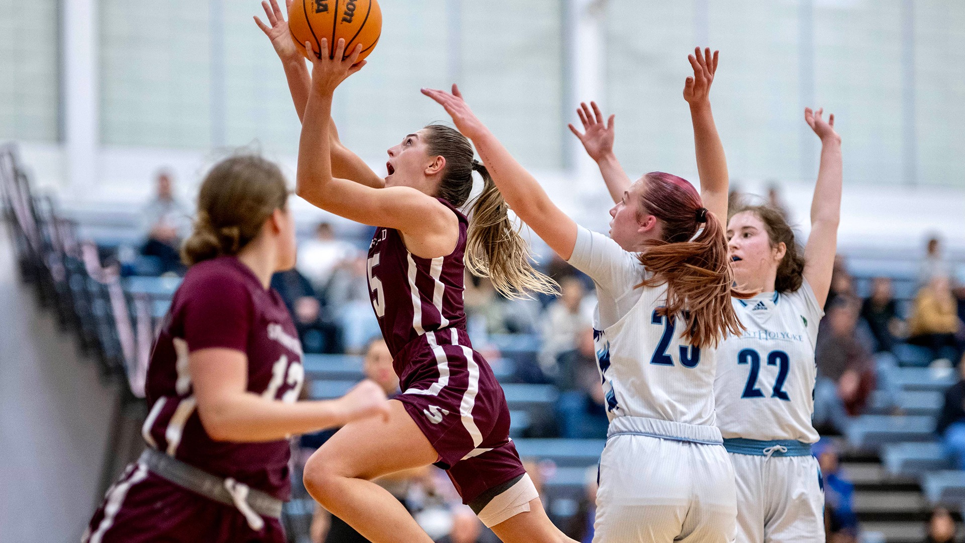 Rachel Vinton 2023 24 Womens Basketball Springfield College