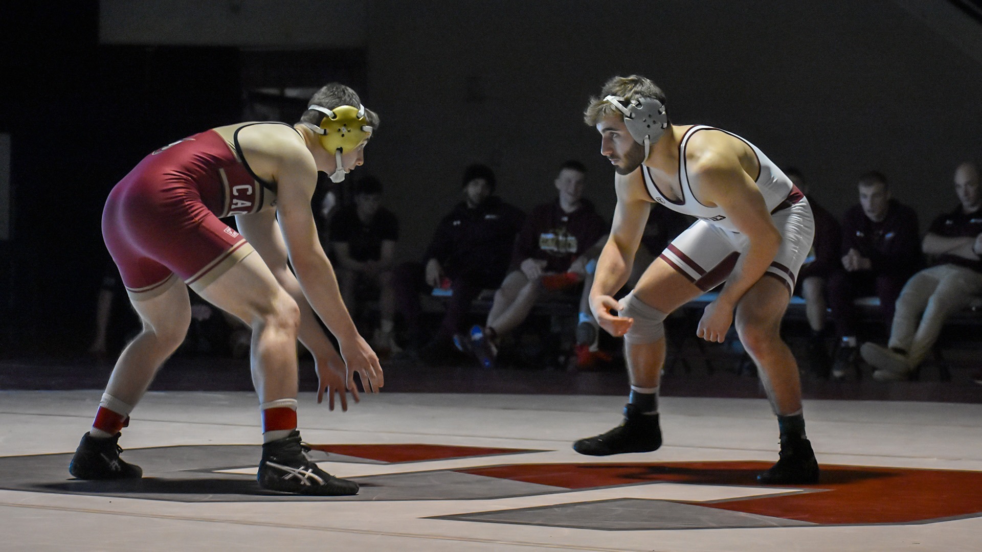 No. 25 Wrestling Surges Past Norwich, 35-16 - Springfield College