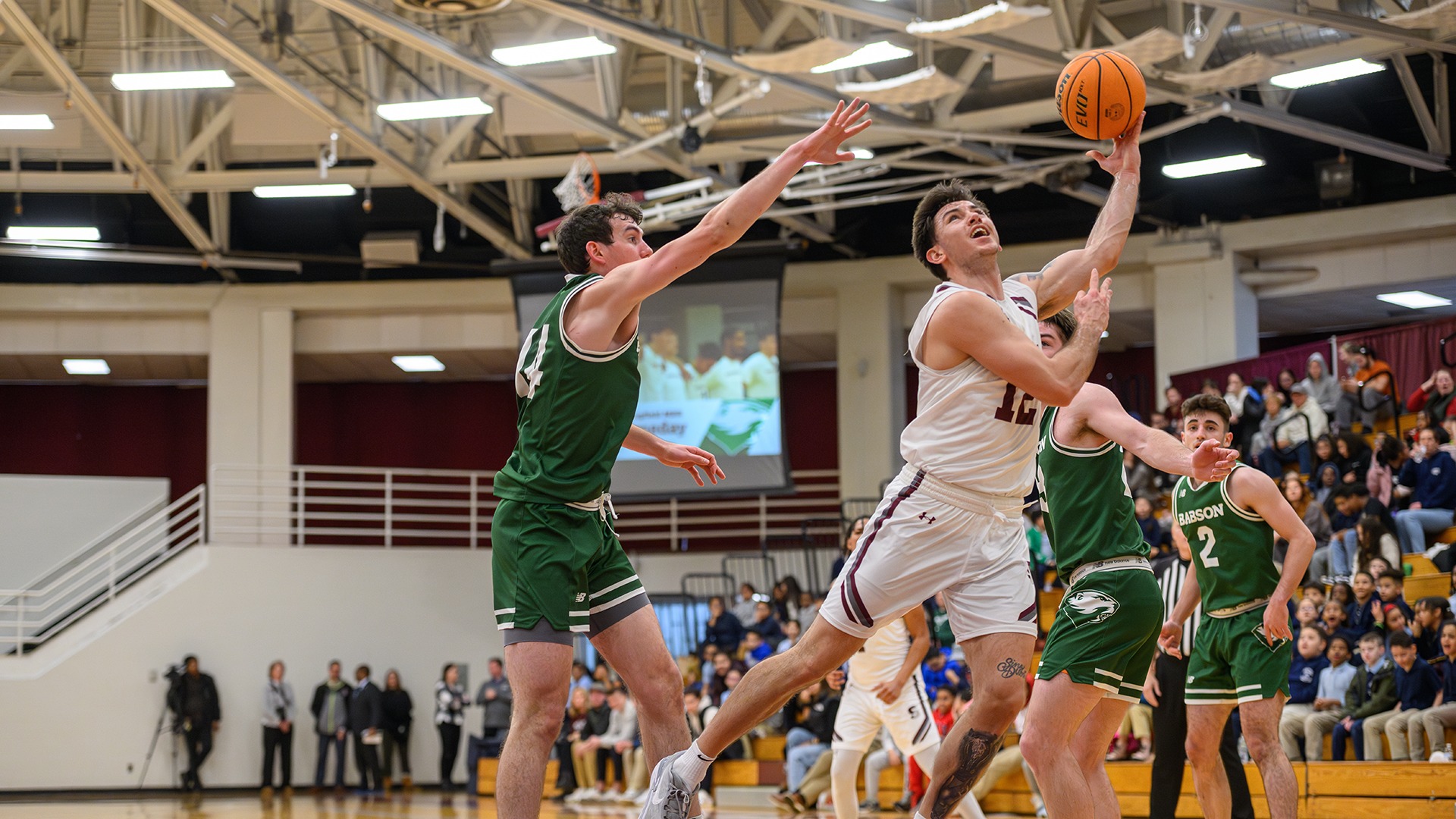 Joe Hoch - 2023-24 - Men's Basketball - Springfield College