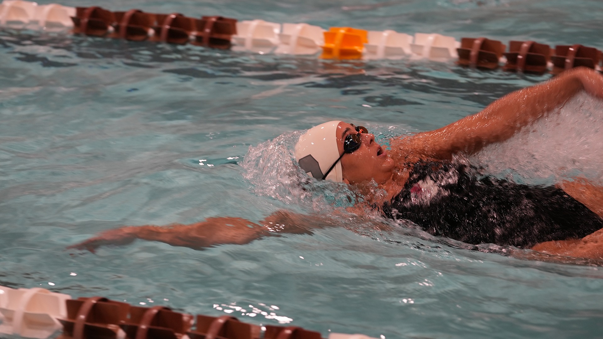 Natalie Chamberlin - 2023-24 - Women's Swimming & Diving - Springfield ...