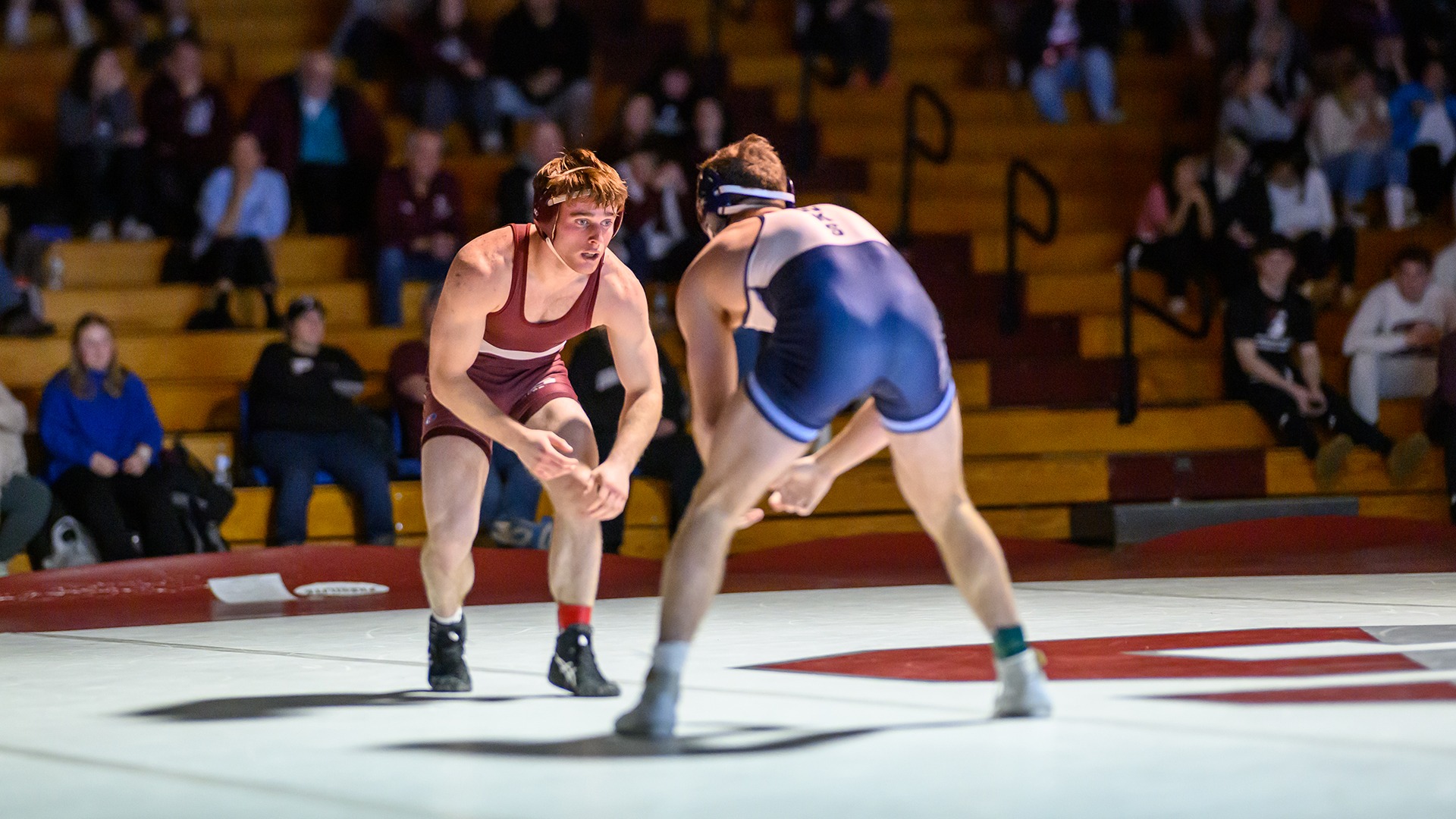 Matt Duquette - 2023-24 - Wrestling - Springfield College