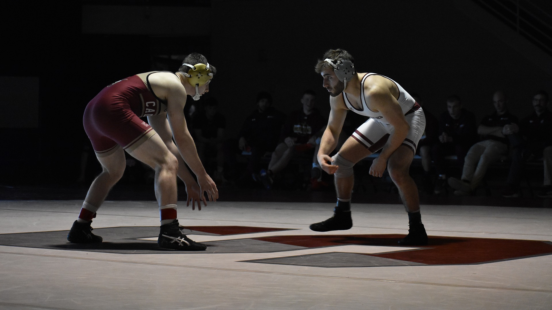 Jared Swartz - 2023-24 - Wrestling - Springfield College
