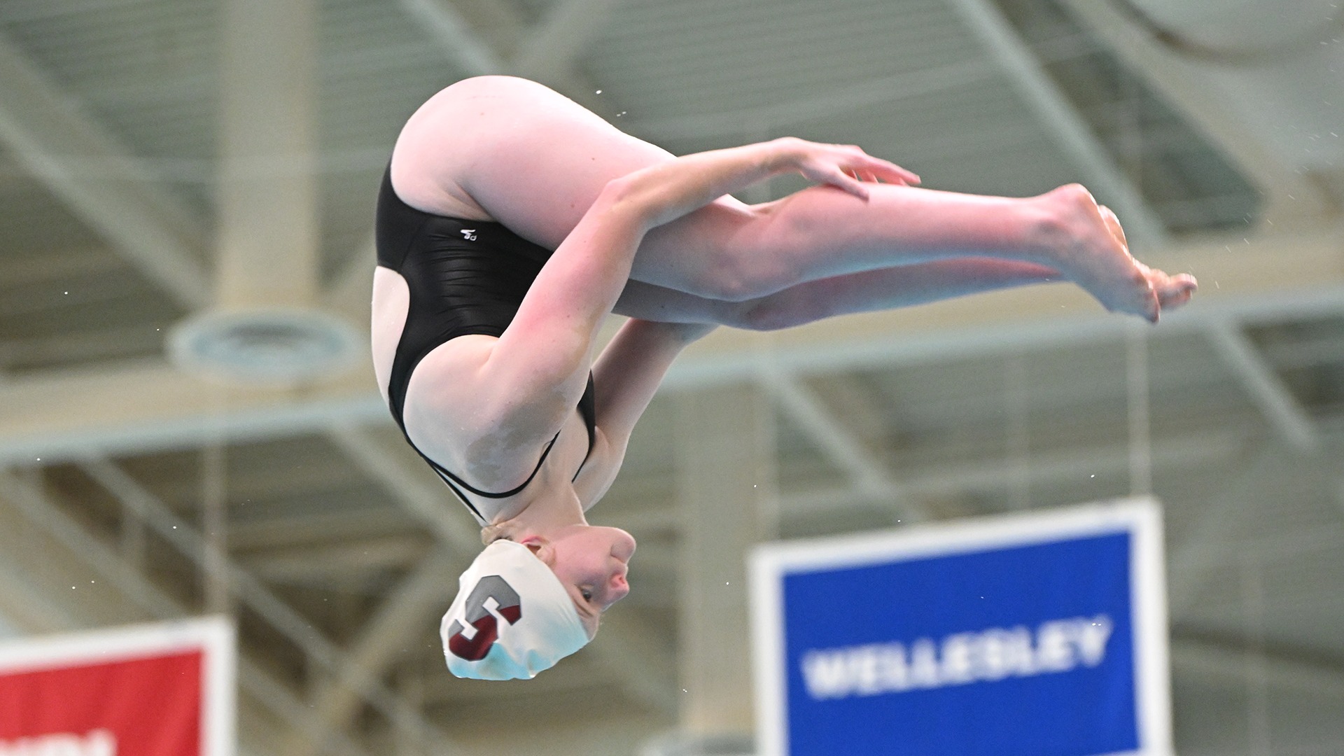 Megan Crawford - 2023-24 - Women's Swimming & Diving - Springfield College