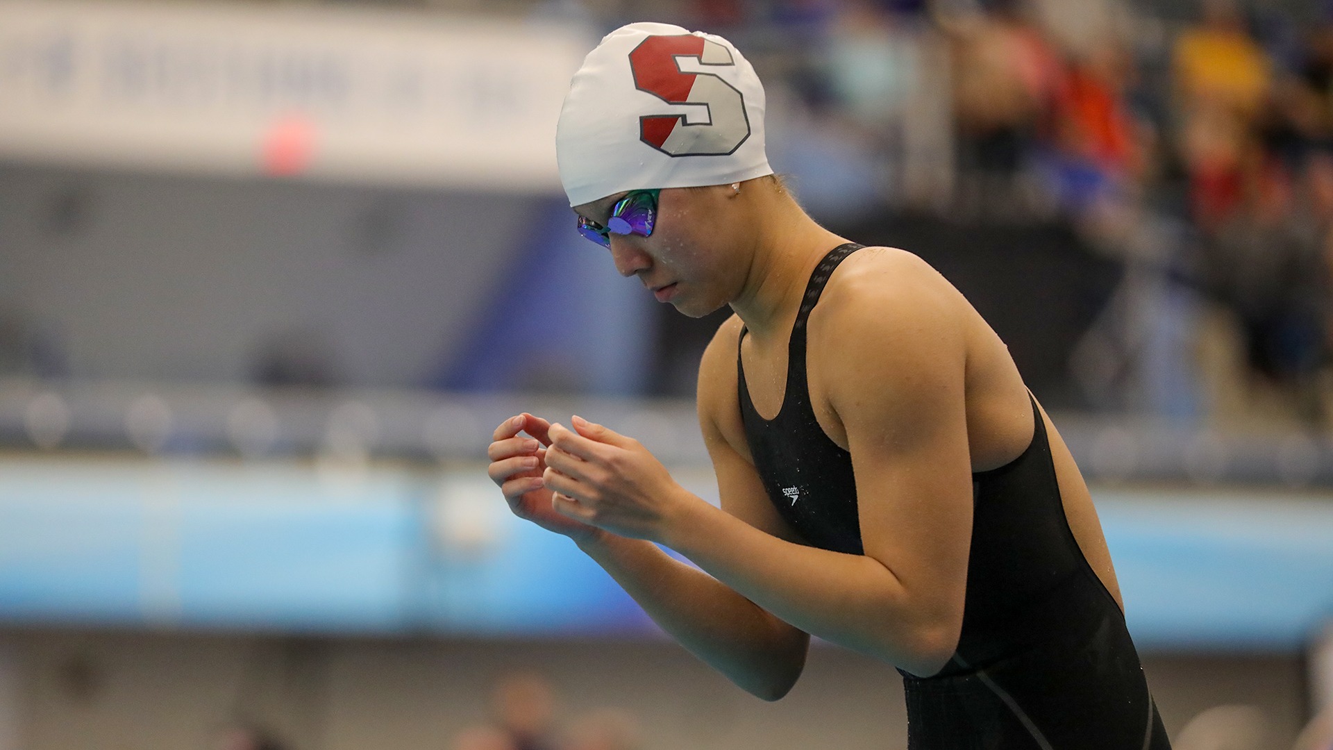 Women's Swimming and Diving Bests Babson on Senior Day - Springfield ...
