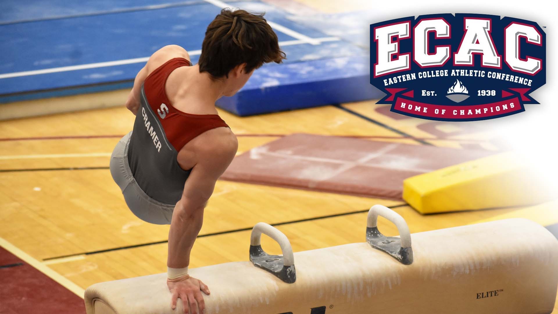 Cramer Snags Another ECAC Rookie of The Week Honor - Springfield College