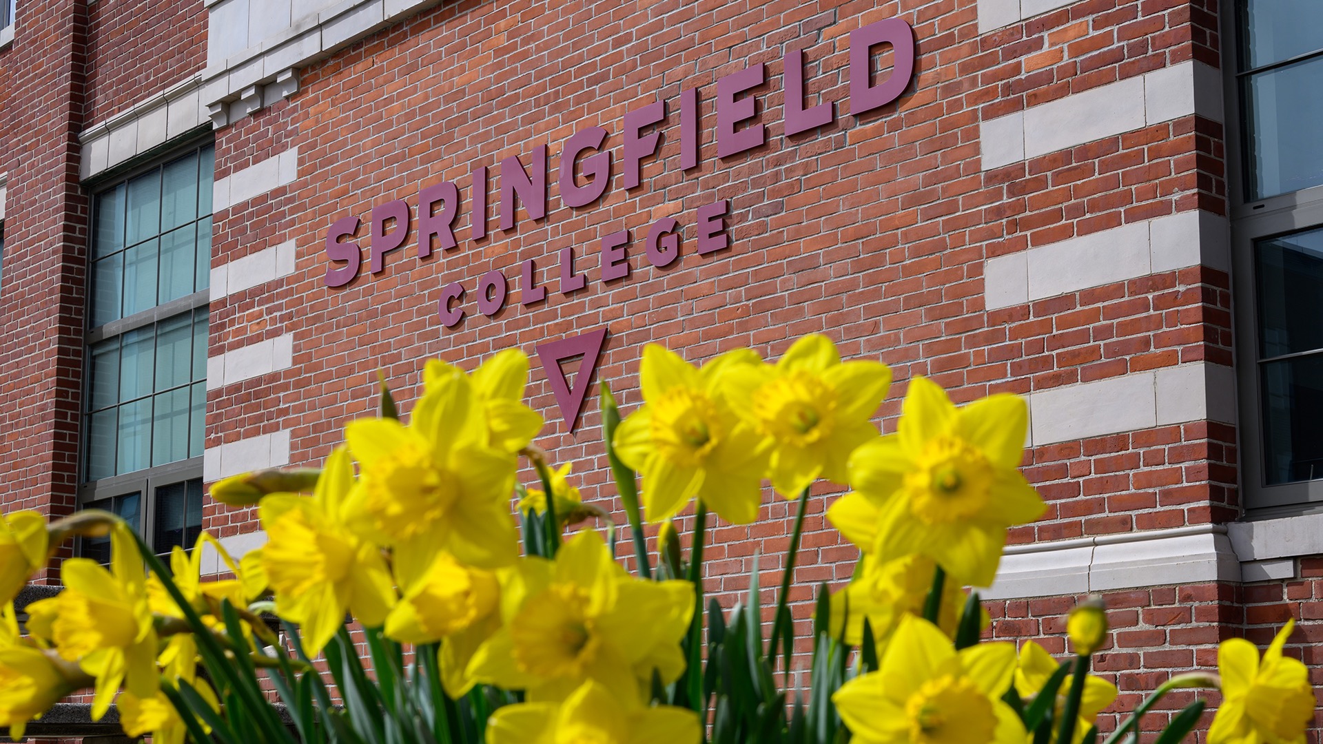 Springfield College Athletics Celebrates 2024-25 Season At End Of Year ...