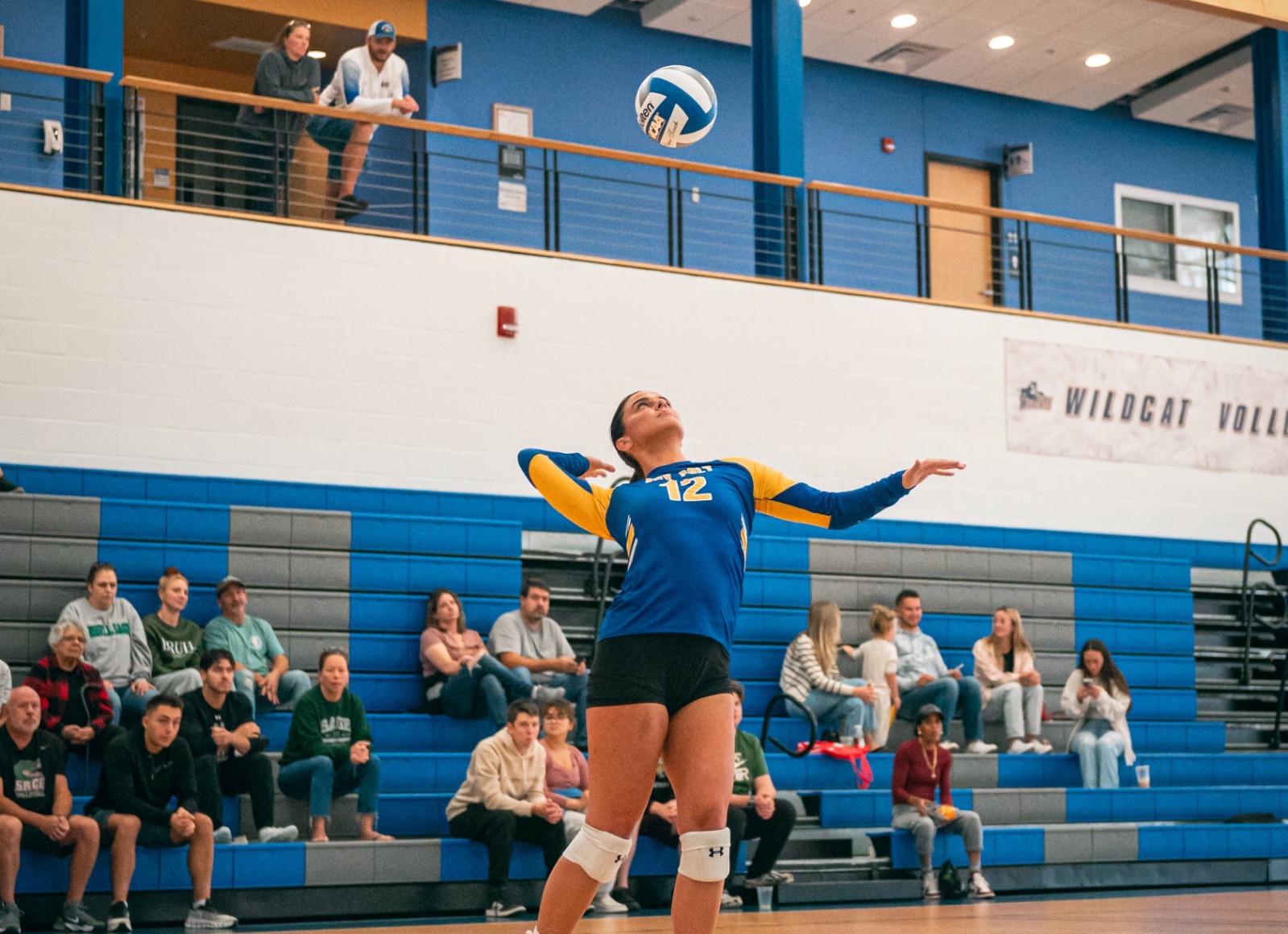 SUNY Poly Announces Hiring of New Women's Volleyball Head Coach - SUNY ...